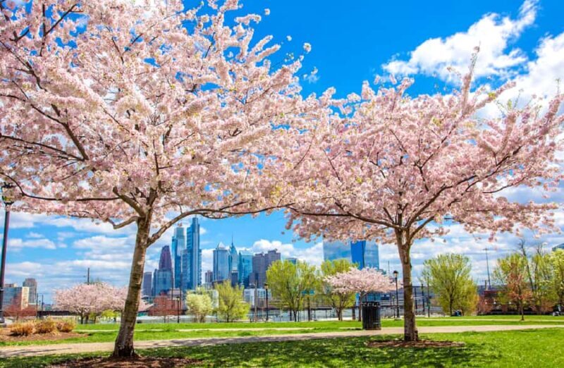 From New York: Philadelphia Cherry Blossom 1-Day Trip - What to Expect: A Full Breakdown of the Experience