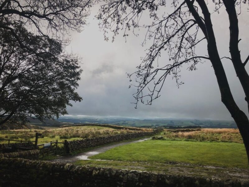 From Newcastle: Hadrian's Wall Day Tour - A Step-by-Step Look at the Tour Itinerary