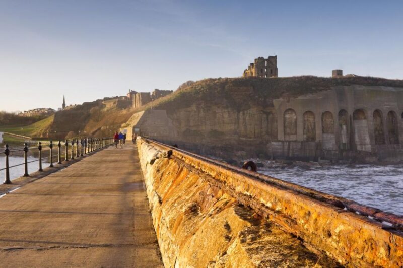 From Newcastle to Veras World: A Private Coastal Tour - Is the Price Worth It?