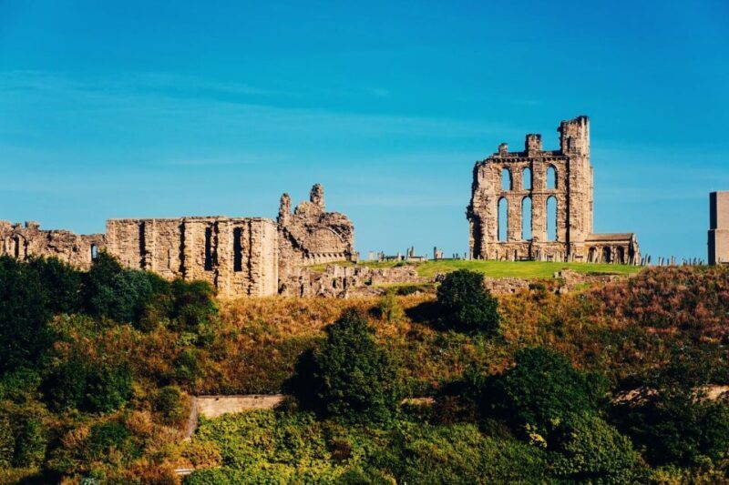 From Newcastle to Veras World: A Private Coastal Tour - Final Thoughts: Who Should Consider This Tour?