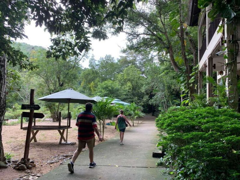 From Nha Trang: Ba Ho Waterfall and Countryside Tour - Who Will Love This Tour?