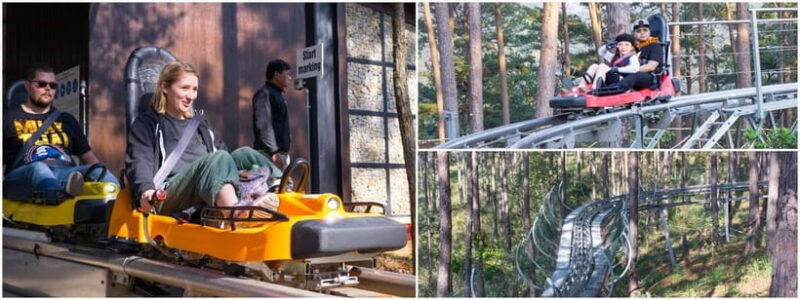 From Nha Trang: Extreme Zipline & Canyoning in Da Lat - Key Points