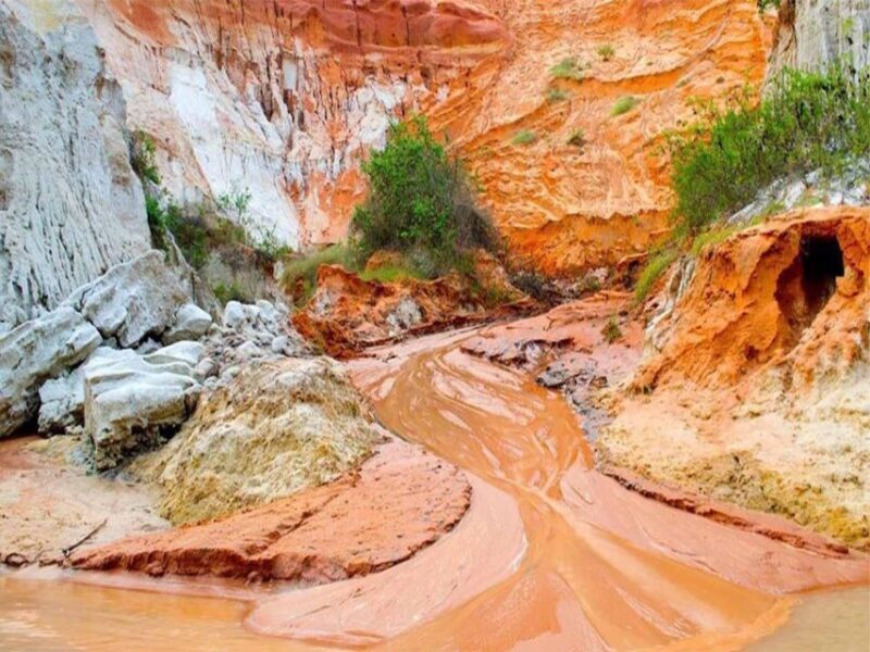 From Nha Trang: Full day trip to Mui Ne - An In-Depth Look at the Nha Trang to Mui Ne Tour