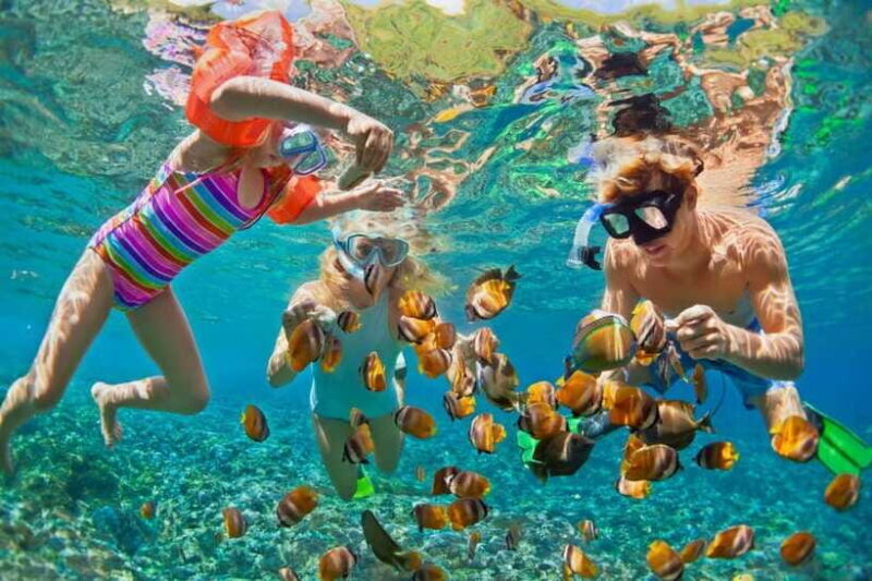 From Nha Trang: Relaxing Mini Beach & Snorkeling Tour - FAQ