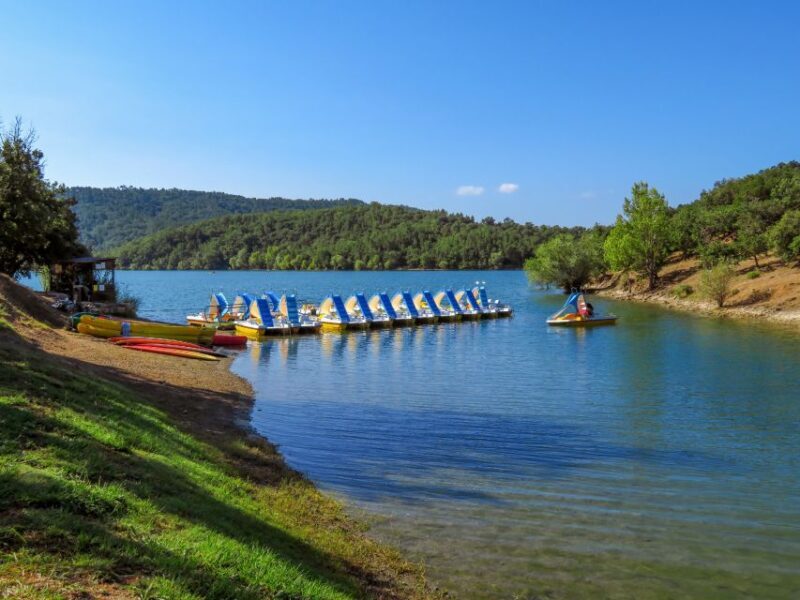 From Nice: Flower Fields & Saint Cassien Lake Full-Day Trip - How the Day Unfolds and What to Expect