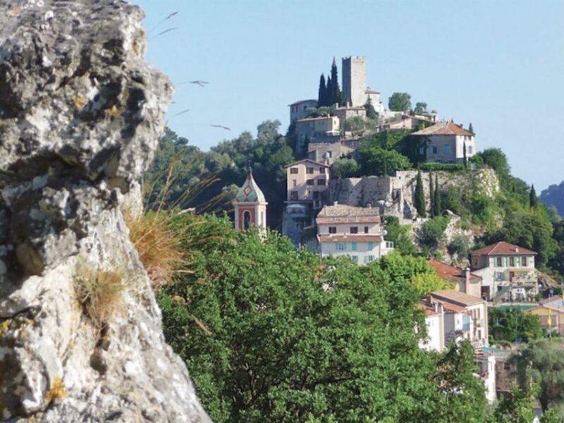 From Nice : Gourdon, St-Paul de Vence, Tourettes & Grasse - Authentic Feedback from Past Travelers