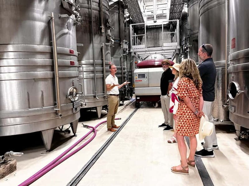 From Nice: Half-Day Wine Tour in the Bellet Wine Region - The Comfort and Convenience
