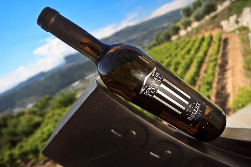 From Nice: Half-Day Wine Tour in the Bellet Wine Region - Pricing and Value
