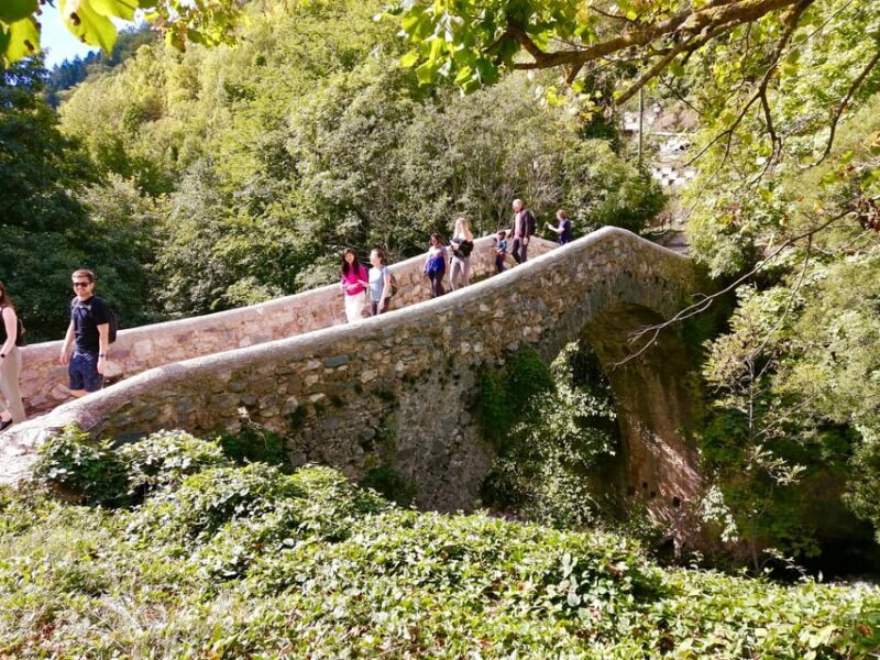 From Nice: Historic Train Ride & Alps Villages - Key Points