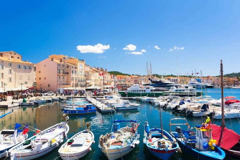 From Nice: Lavender Fields & Verdon Gorge Guided Day Tour - Key Points