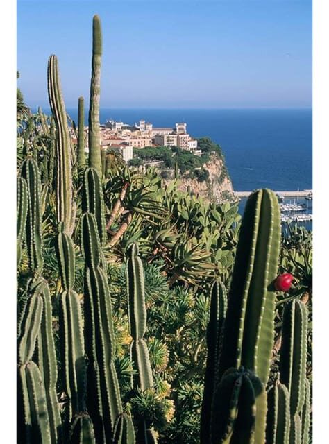 From Nice: Monaco, Monte Carlo & Eze Full-Day Tour - Who Will Love This Tour?