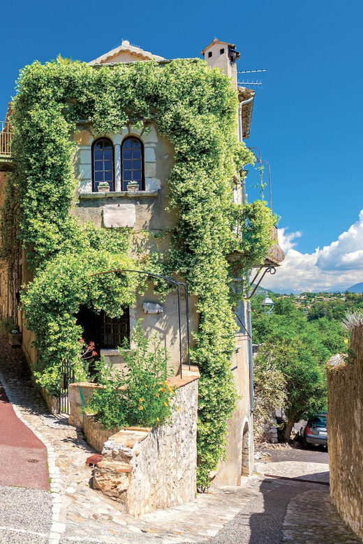 From Nice: Monaco & Provençal villages - Authentic Experiences and Genuine Insights from Reviews