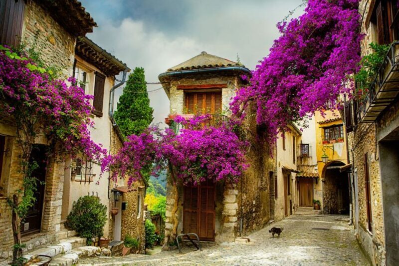 From Nice: Provence and its Medieval Villages Full-Day Tour - Overview of the Experience