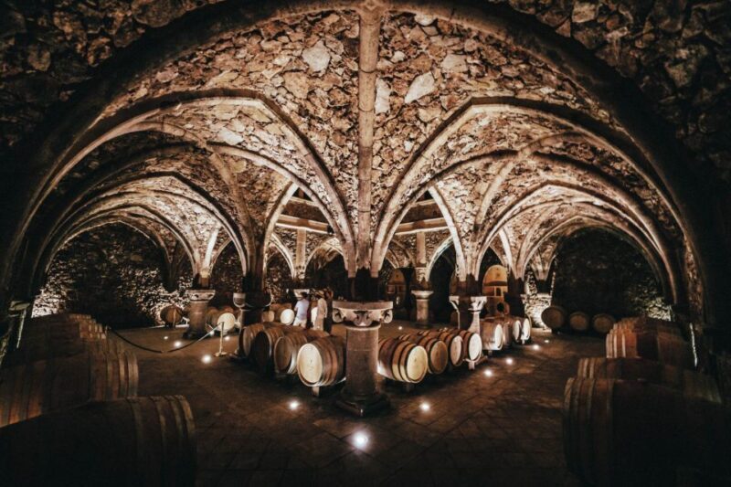 From Nice: Provence Wine Full-Day Tour - The Experience: What We Loved