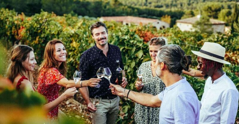 From Nice: Provence Wine Full-Day Tour - Who Should Consider This Tour?
