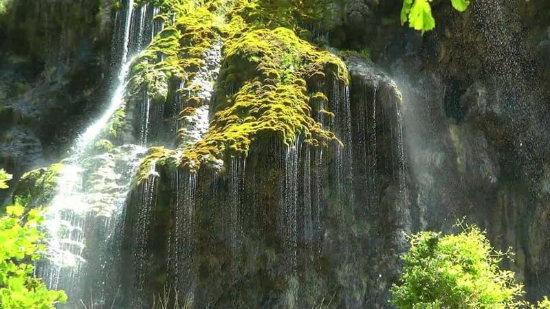 From Nice: Verdon Gorges & Lavender Fields Tour & Transport - FAQ