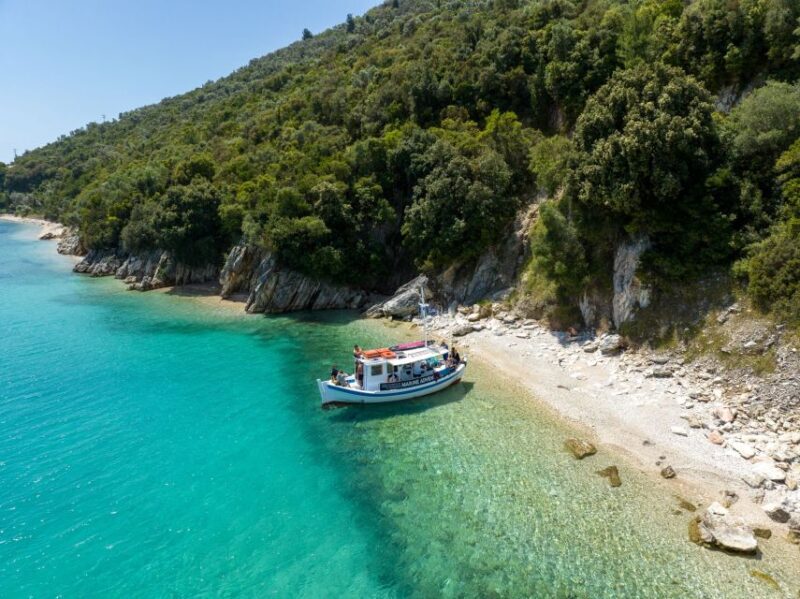 From Nidri: Marine Wildlife Cruise with Lunch and Swim Stops - Swimming and Relaxing at the Stops