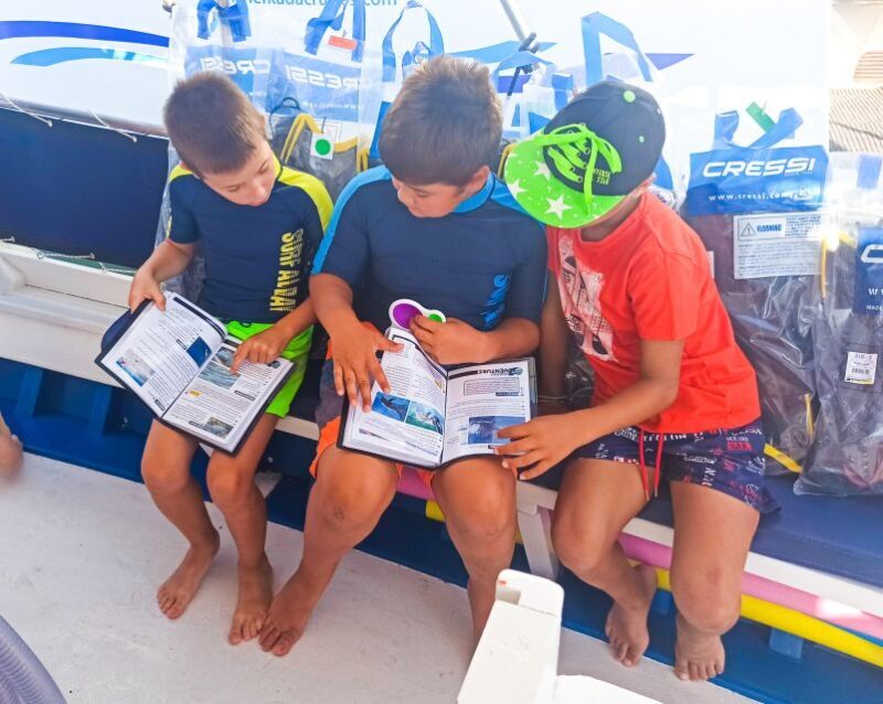 From Nidri: Marine Wildlife Cruise with Lunch and Swim Stops - The Sum Up
