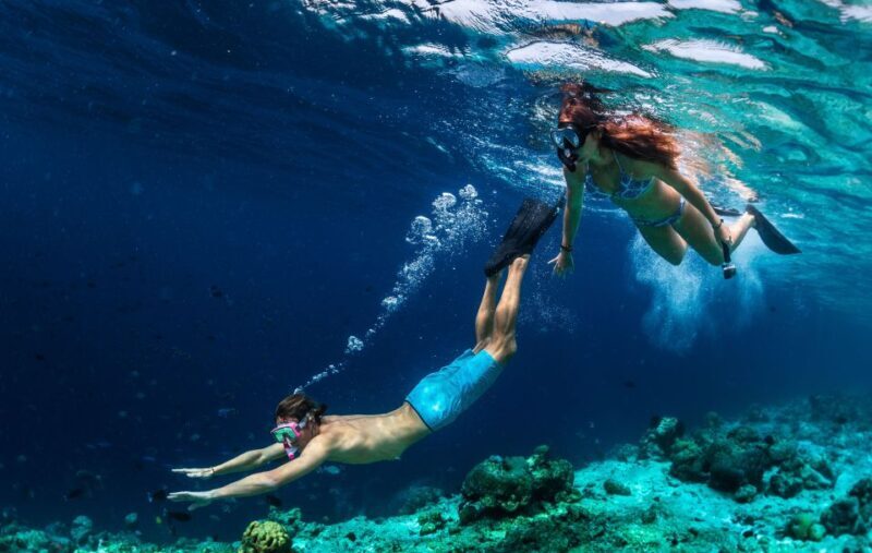From Nidri: Marine Wildlife Cruise with Lunch and Swim Stops - Frequently Asked Questions