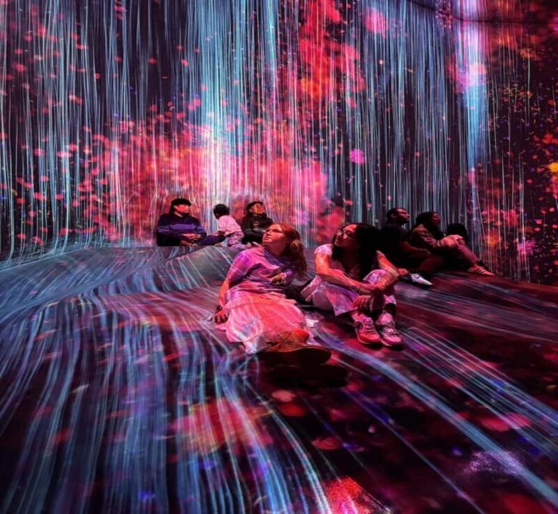 From Nikko: Tokyo Art, Architecture, and Skyline Tour - Key Points