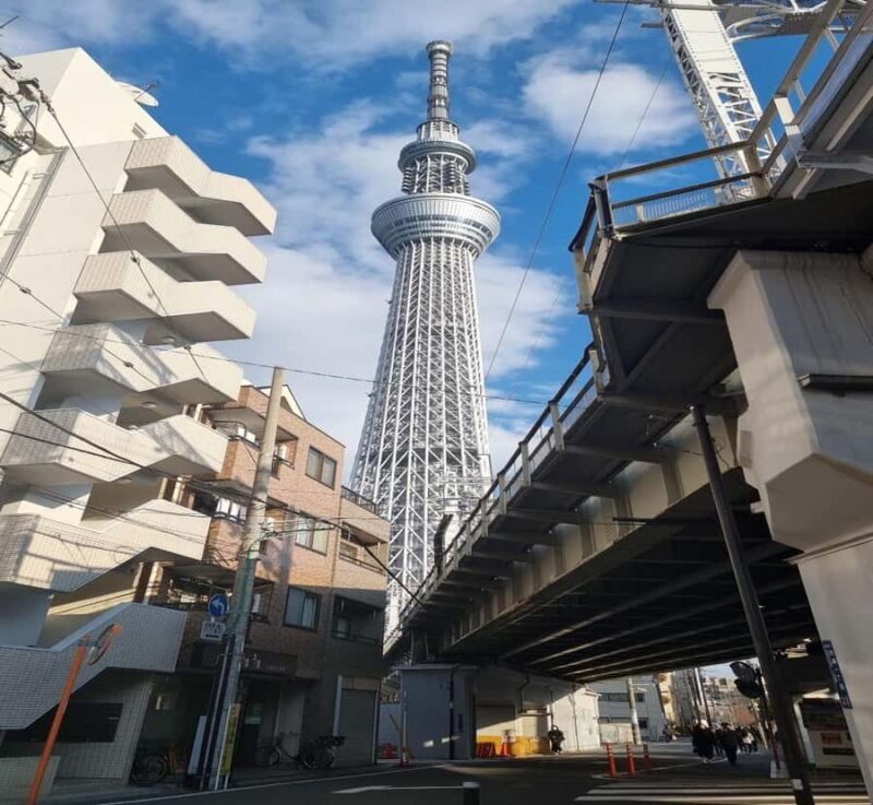 From Nikko: Tokyo Art, Architecture, and Skyline Tour - Flexibility and Comfort