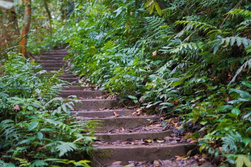 From Ninh Binh: Cuc Phuong National Park 1-Day Small Group - Transportation and Timing
