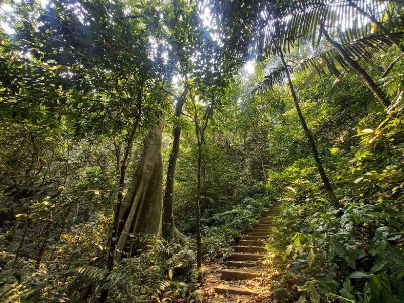 From Ninh Binh: Cuc Phuong National Park 1-Day Small Group - Who Should Consider This Tour?