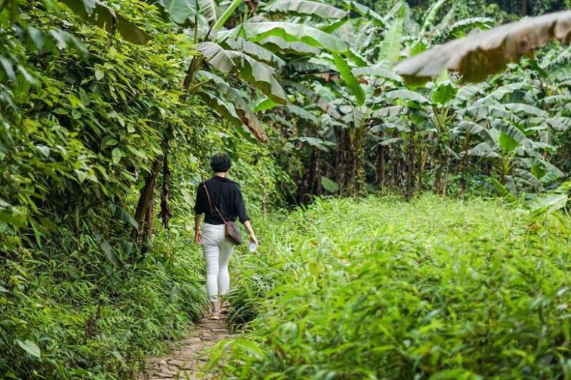 From Ninh Binh: Cuc Phuong National Park 1-Day Small Group - FAQs