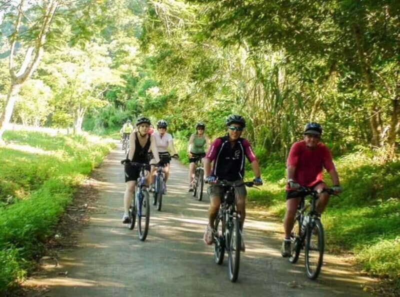 From Ninh Binh: Cuc Phuong National Park Day Trip - Introduction to the Tour Experience