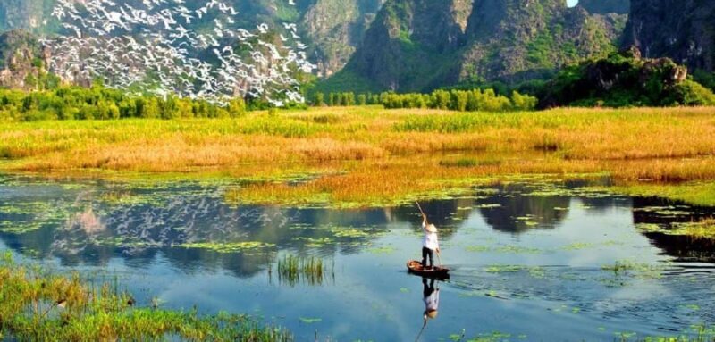 From Ninh Binh : Cuc Phuong National Park Full Day Trip - Why This Tour is a Good Value