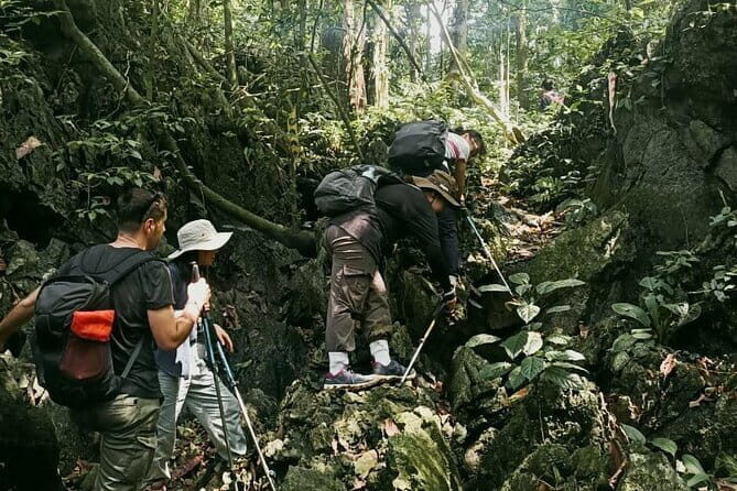 From Ninh Binh: Cuc Phuong National Park Trekking Day Tour - Helpful FAQs