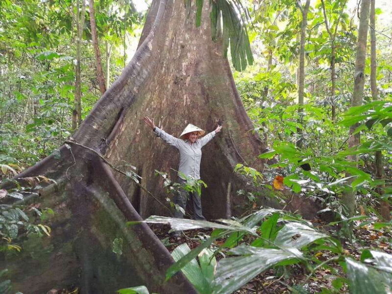 From Ninh Binh: Cuc Phuong National Park Trekking Day Tour - The Practicalities and Considerations