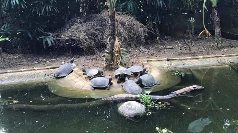 From Ninh Binh: Cuc Phuong - Van Long Reserve - Small Groups - FAQ