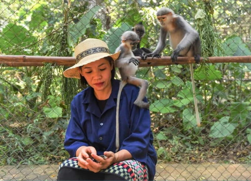 From Ninh Binh: Cuc Phuong - Van Long Small Group Tours - An In-Depth Look at the Tour Experience
