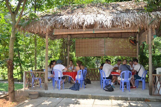 From Ninh Binh : Hoa Lu, Bai Dinh, Trang An , Mua Cave Guide Tour - Who Would Enjoy This Tour