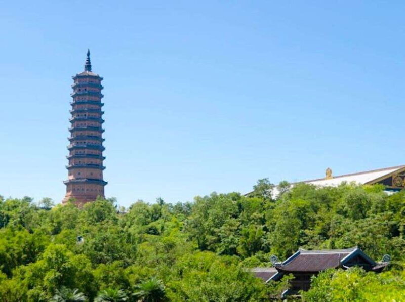 From Ninh Binh: Mua Cave, Bai Dinh Pagoda, and Trang An Tour - Key Points