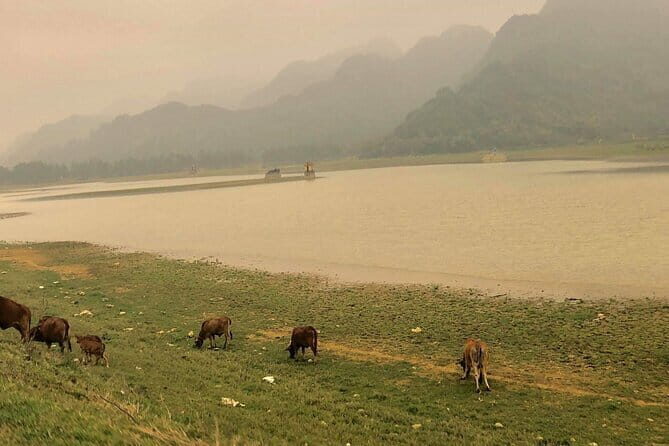 From Ninh Binh Private Tour to Hoa Lu, Trang An and Mua Cave - Final Thoughts