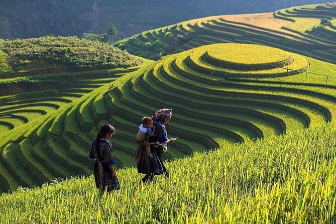 From Ninh Binh to Cuc Phuong National Park, Trekking and Jungle - From Reviews: Authenticity & Guides