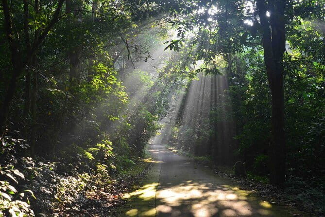 From Ninh Binh to Cuc Phuong National Park, Trekking and Jungle - Analyzing the Value