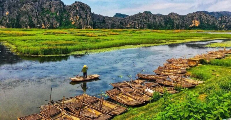 From Ninh Binh: Visit Cuc Phuong National Park - Van Long - Why You Might Love This Tour