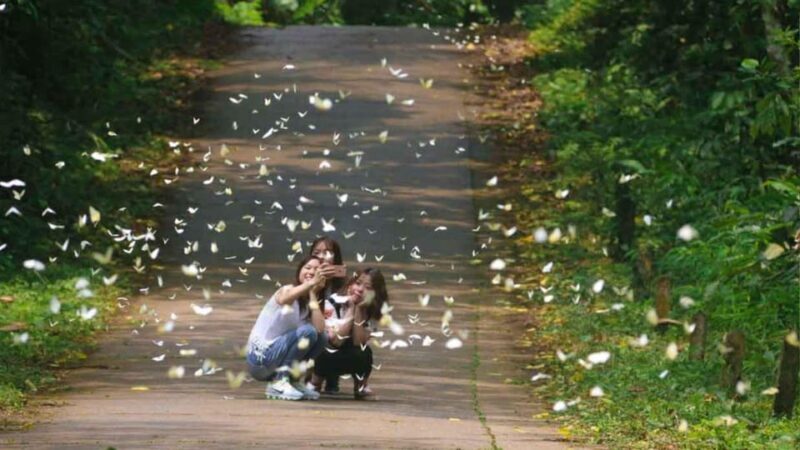 From Ninh Binh: Visit Cuc Phuong National Park - Van Long - Authenticity and Authentic Experiences