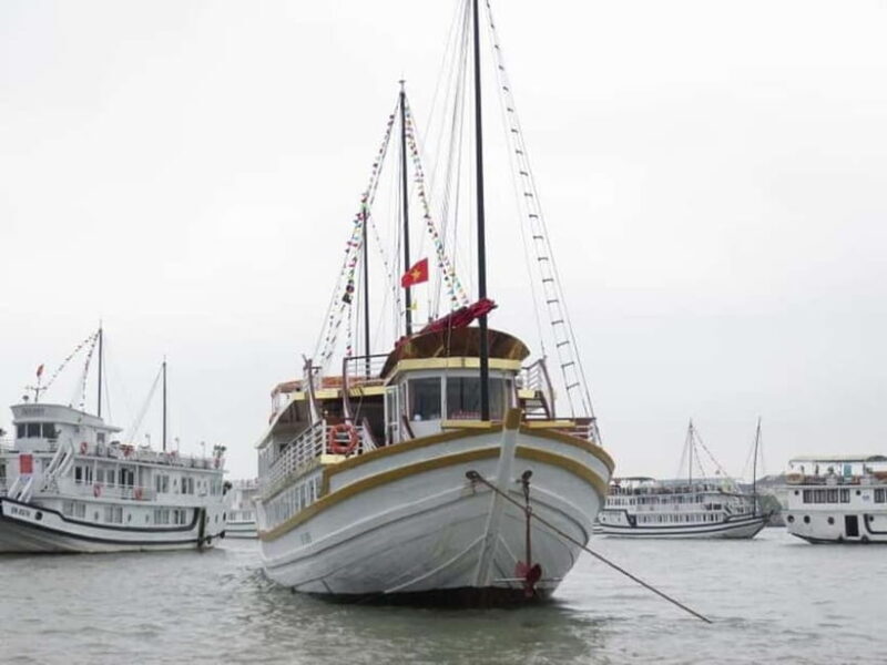 From NinhBinh: 2-Day 1Night itinerary Bai Tu Long Bay cruise - Who Will Love This Tour?