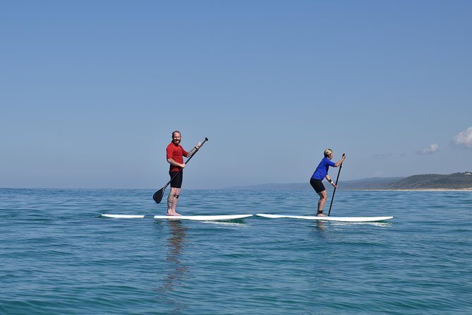From Noosa: Stand Up Paddle Wildlife & Beach 4X4 Adventure - Exploring Double Island Point