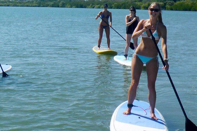 From Noosa: Stand Up Paddle Wildlife & Beach 4X4 Adventure - What’s Included and What’s Not