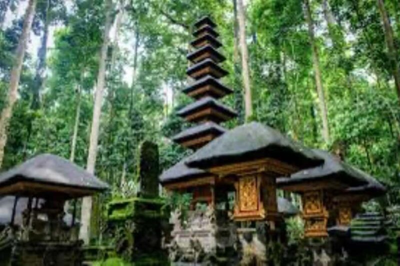 From north bali :Tanah Lot, sangeh forest & Ulun Danu Temple - An In-Depth Look at the Tour