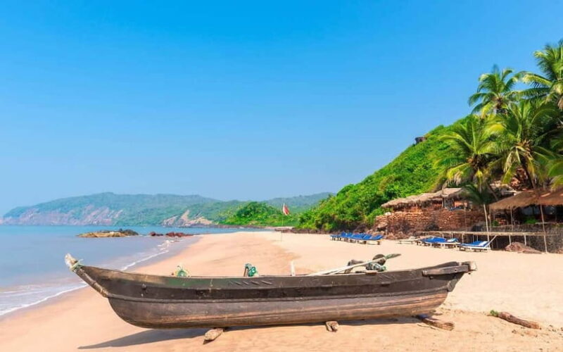 From North Goa: Full Day North Goa Tour with Transportation - Why Choose This Tour?