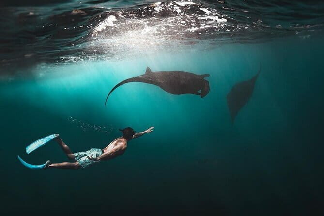 From Nusa Lembongan Manta Snorkeling Trips with Pickup Included - The Sum Up