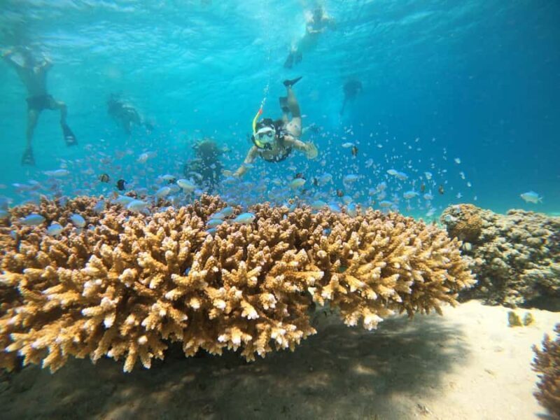 From Nusa Penida: 2D1N Gili Islands Private Snorkeling Tour - Exploring the 2D1N Gili Islands Private Snorkeling Tour from Nusa Penida