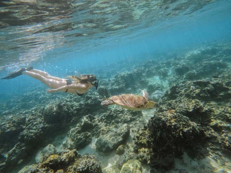 From Nusa Penida: 2D1N Gili Islands Private Snorkeling Tour - Key Points