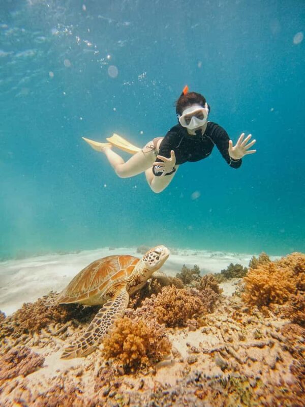 From Nusa Penida: 2D1N Gili Islands Private Snorkeling Tour - Why the Tour Works for Travelers